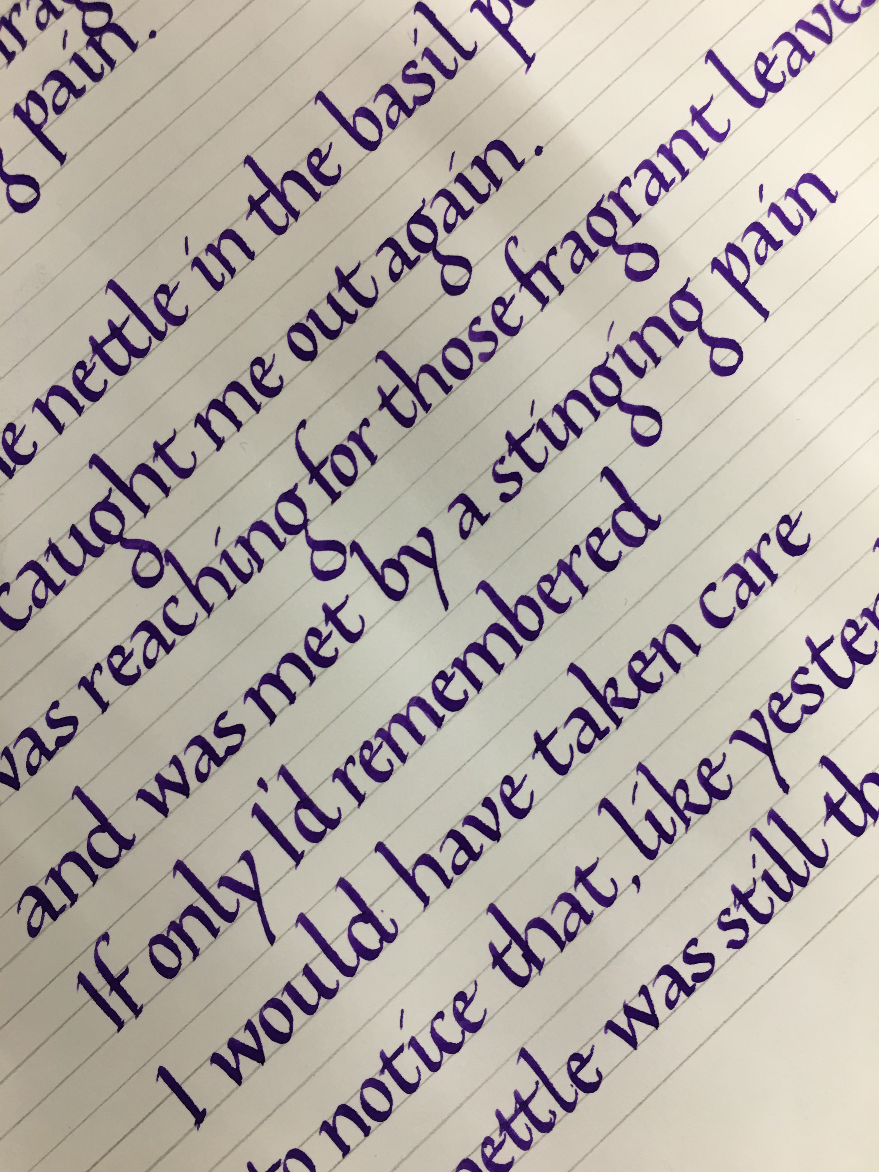 Learning Humanist Script – Gloucestershire Lettering Arts